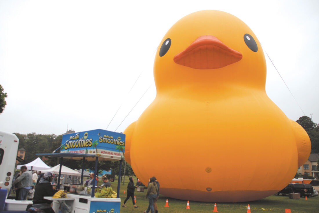 Mama Duck visits Marquette | News, Sports, Jobs - The Mining Journal